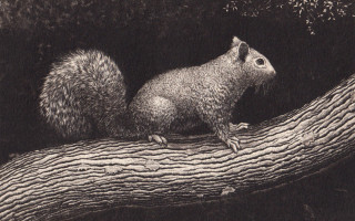 Max D. Standley – R. MICHELSON GALLERIES