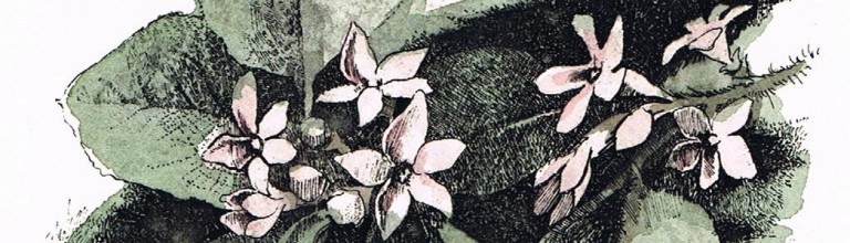 Early Work & Woodcuts – R. MICHELSON GALLERIES