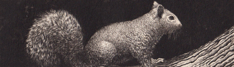 Engravings – R. MICHELSON GALLERIES