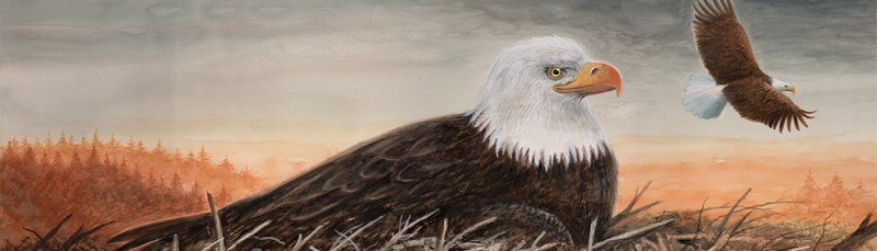 Wendell Minor – R. MICHELSON GALLERIES