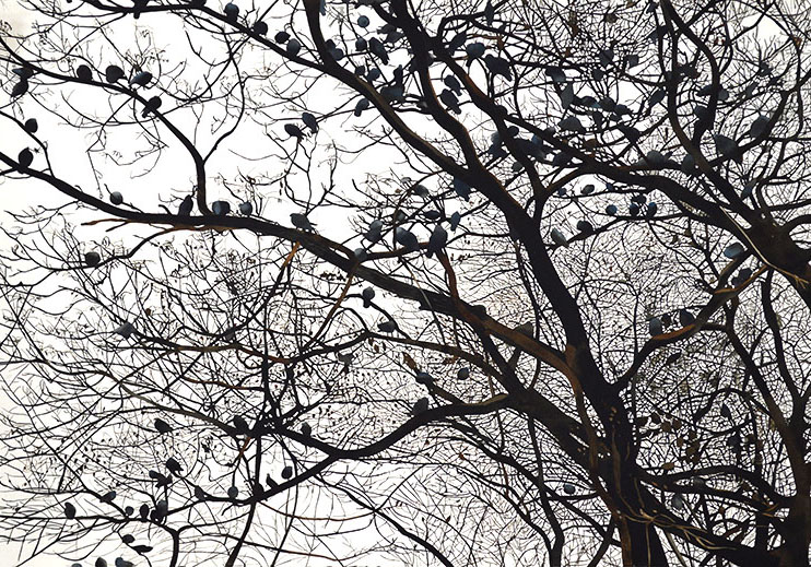 Branching Out Icon – R. MICHELSON GALLERIES