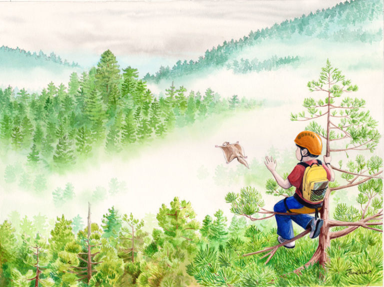 Redwoods – R. MICHELSON GALLERIES
